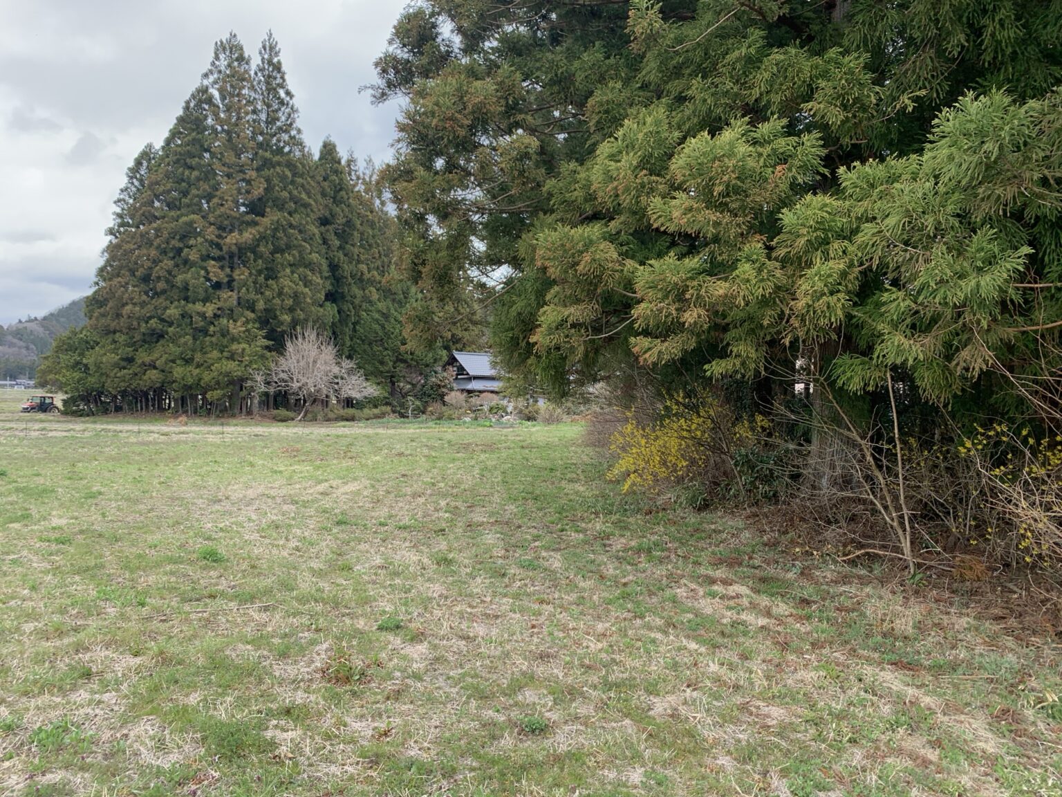 7月26日(土)・27日(日)開催 アウトドアライフを描く白箱のnegla｜完成見学会【仙台市太白区秋保町】 | negla設計室（ねぐら設計室）｜宮城県仙台市で注文住宅を設計・施工する設計 ...