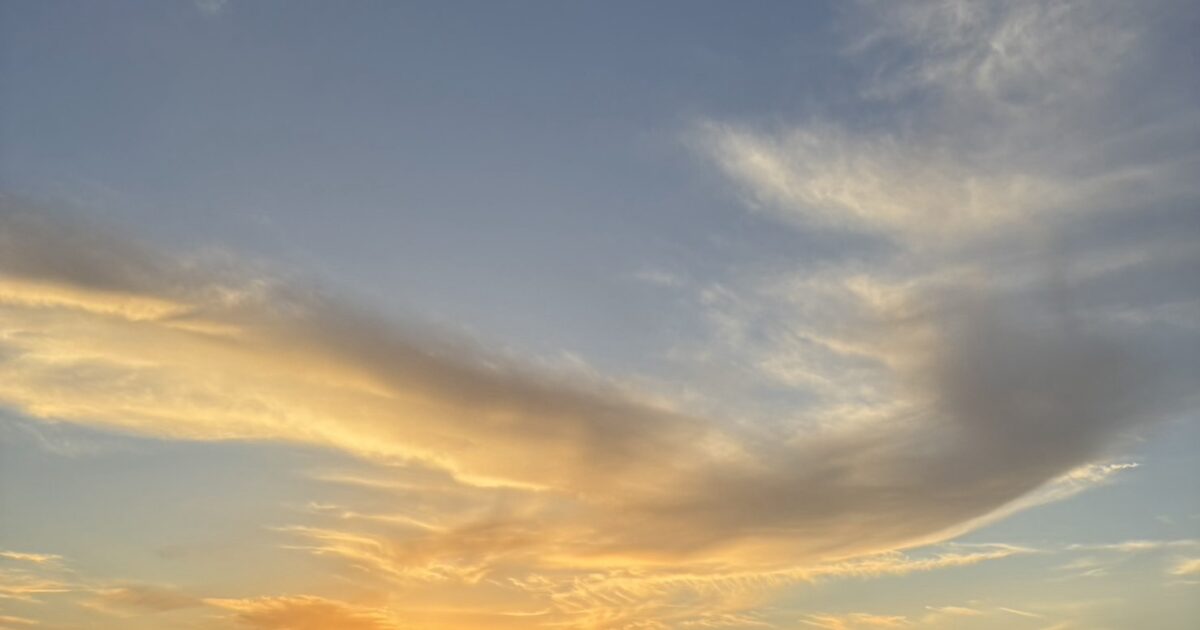 打ちっぱなしに行ってきました | ブログ | negla設計室（ねぐら設計室）｜宮城県仙台市で注文住宅を設計・施工する設計工務店｜国産材と自然 ...